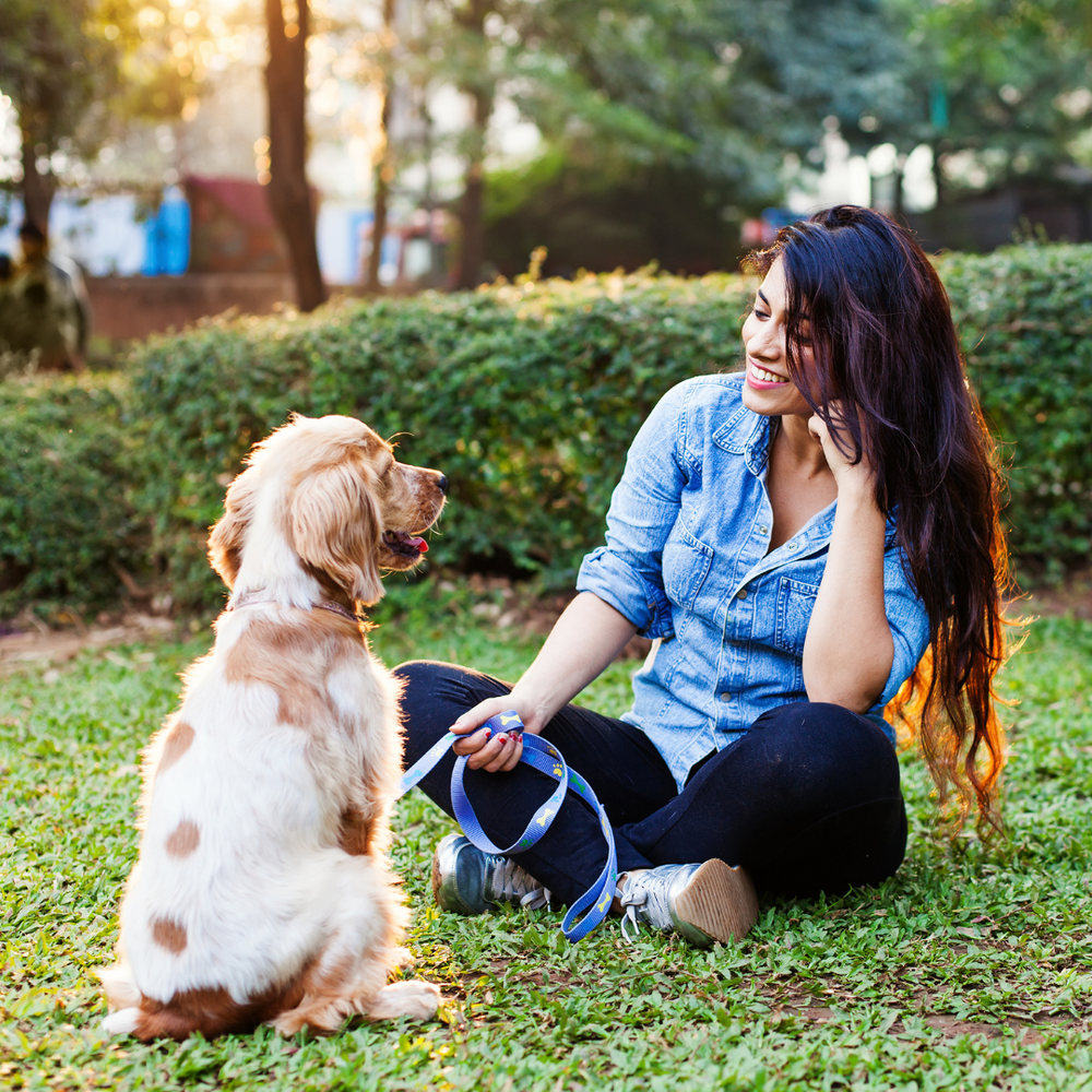 Resources – Pet Relief Australia