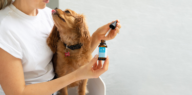 Pet Relief Australia