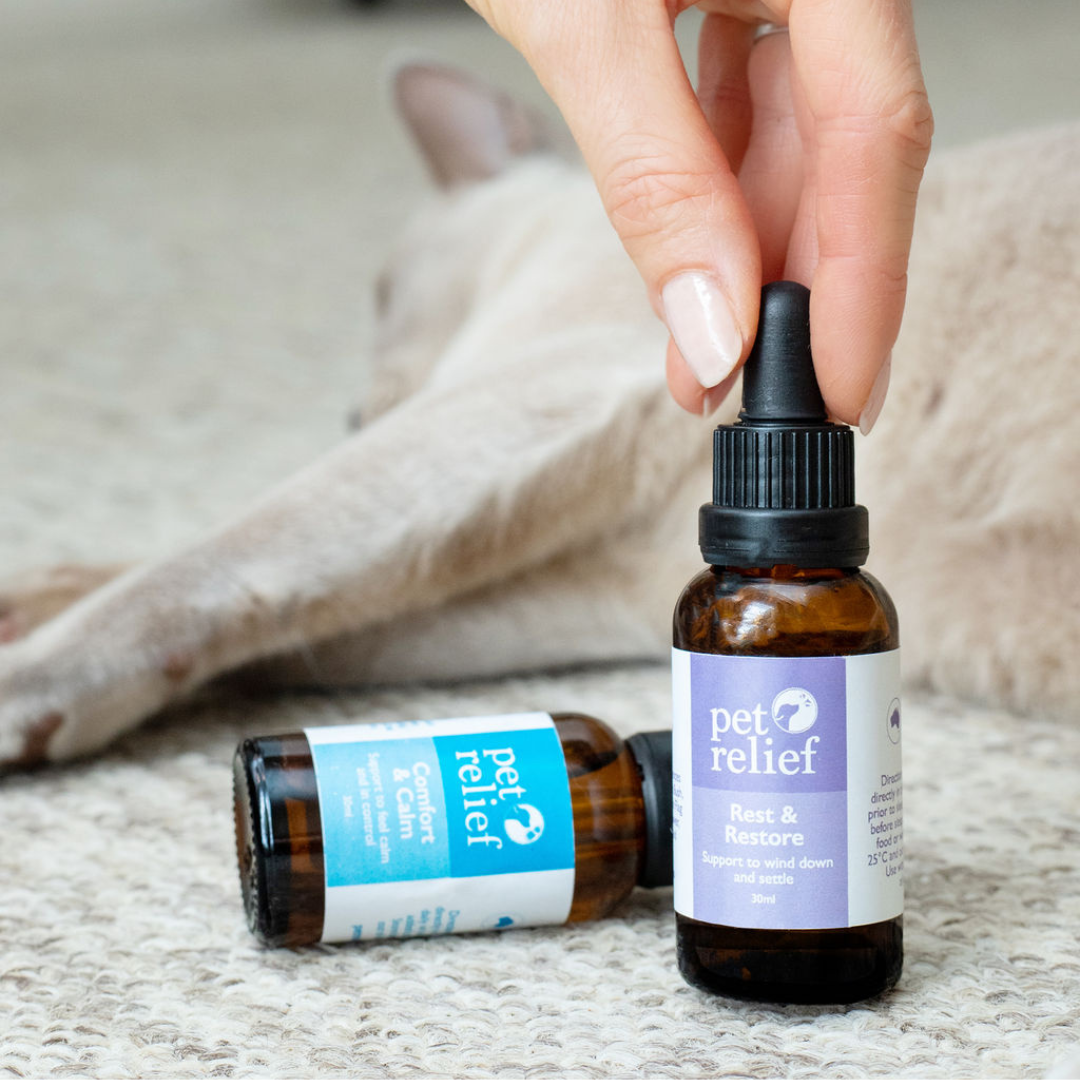 Calming Products for Dogs & Cats – Pet Relief Australia