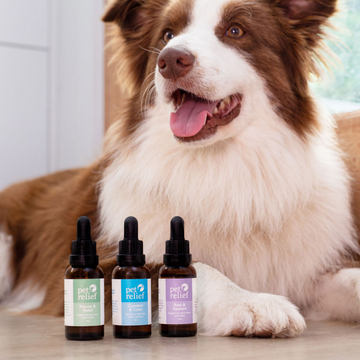 Calming Products for Dogs & Cats – Pet Relief Australia